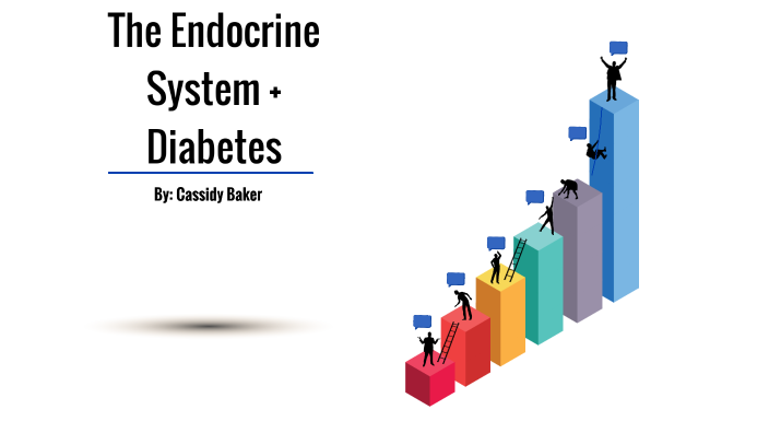 The Endocrine System + Diabetes by Cassidy Baker on Prezi
