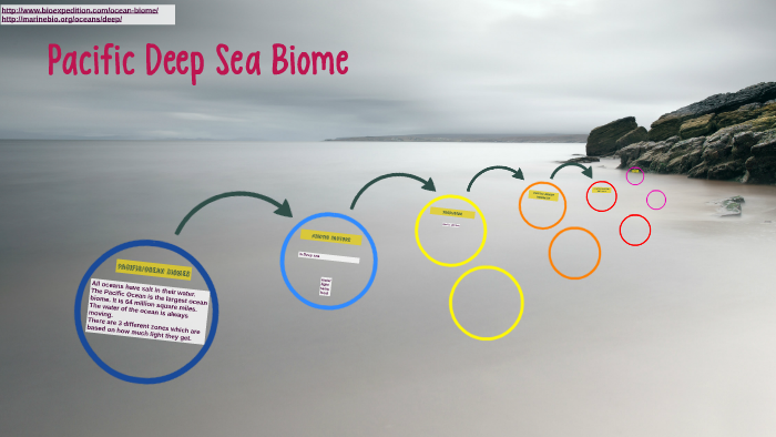 Pacific Deep Sea Biome by Mia M on Prezi