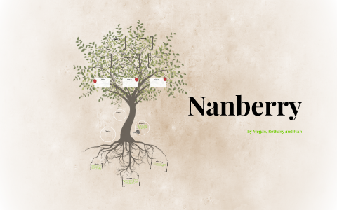 Nanberry by bethany_jayne anderson on Prezi
