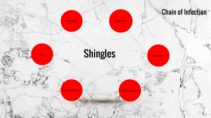 Chain of Infection by Lucas Felipe on Prezi