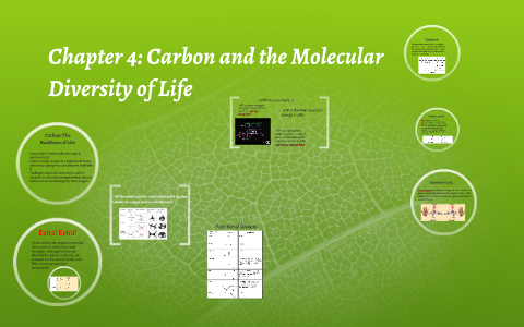 Chapter 4- Carbon and the Molecular Diversity of Life by Asha Susu on Prezi