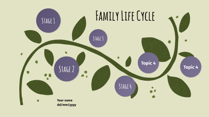 Family Life Cycle by on Prezi