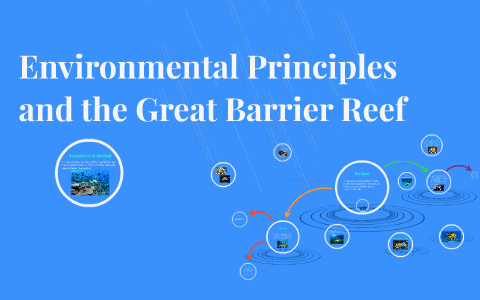 Environmental Principles and the Great Barrier Reef by Casey Giust on Prezi