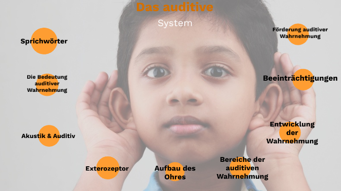 Das auditive System by Jean Lassen on Prezi