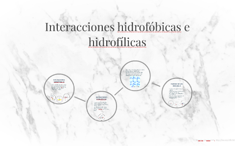 Interacciones hidrofóbicas e hidrofílicas by Stefy Atiaja on Prezi