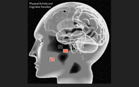 Physical Activity and Cognitive Function by Hannah Connon on Prezi
