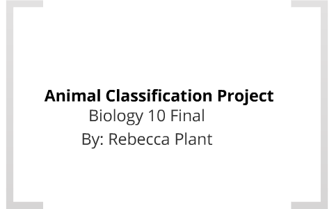Animal Classification Project by rebecca plant on Prezi