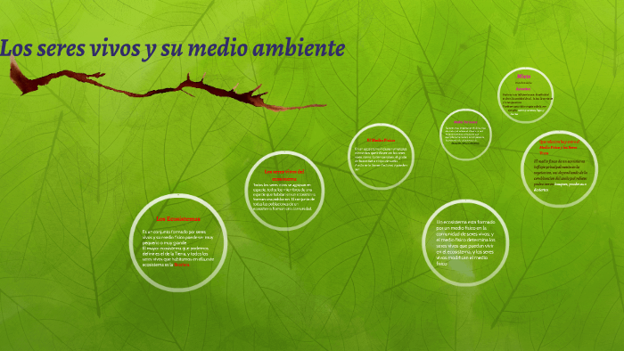 Los seres vivos y su medio ambiente by Alma Veronica Rodriguez Torres