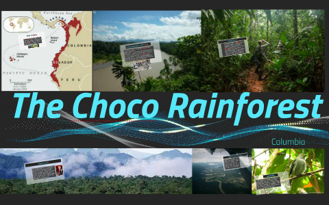 The Choco Rainforest by erik heilig on Prezi