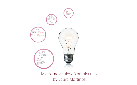 biomolecules/macromolecules by Laura Martinez