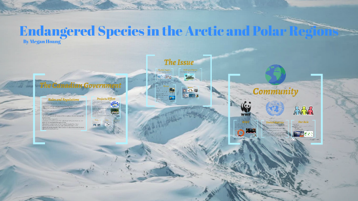 Endangered Species in the Arctic and Polar Regions by Megan Hoang on Prezi