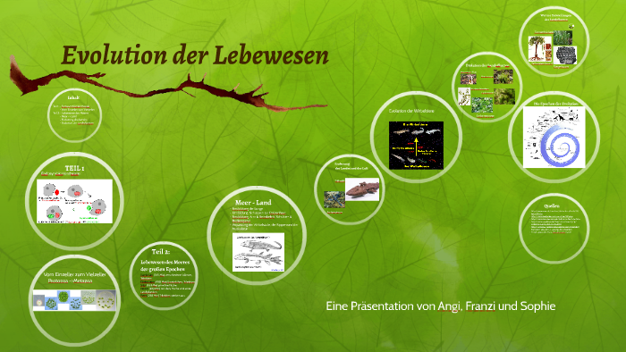 Evolution der Lebewesen by Franziska Pohl on Prezi