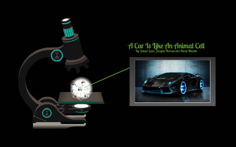 A Car Is Like An Animal Cell by Nyah Tee on Prezi