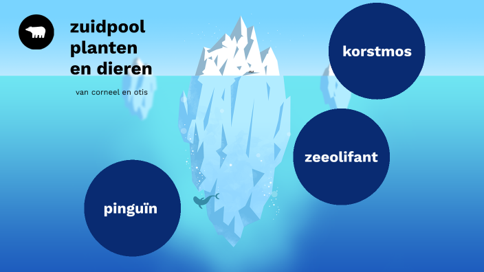 de zuidpool planten en dieren by Afra Voesenek on Prezi