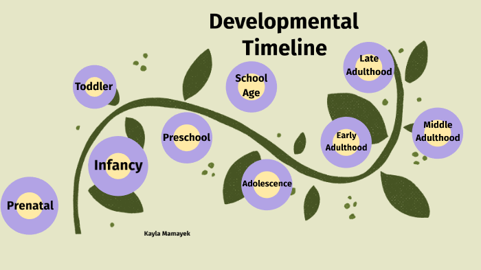Developmental Timeline by Kayla Mamayek on Prezi