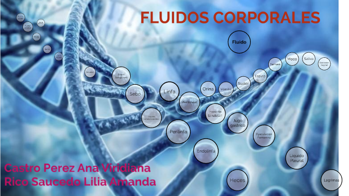 fluidos corporales by Anvi Castro on Prezi