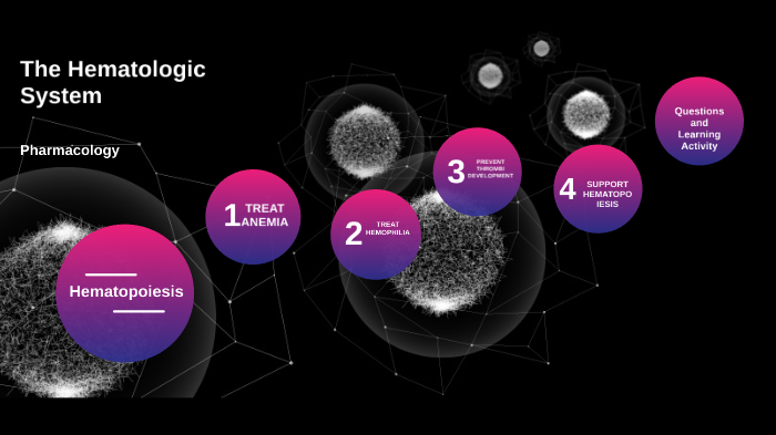 The Hematologic System by Elizabeth Lucas on Prezi