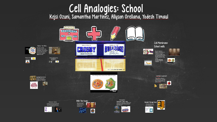 Cell Analogies: School by Allyson Orellana on Prezi