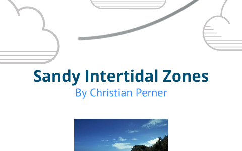 Sandy Intertidal Zones by Christian Perner on Prezi