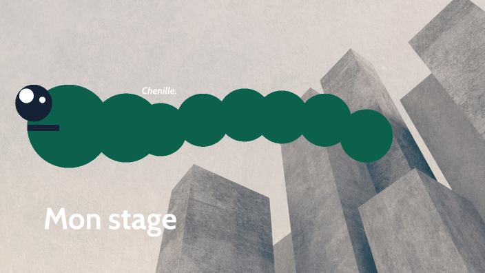 Mon Stage by Zoé Gallant on Prezi