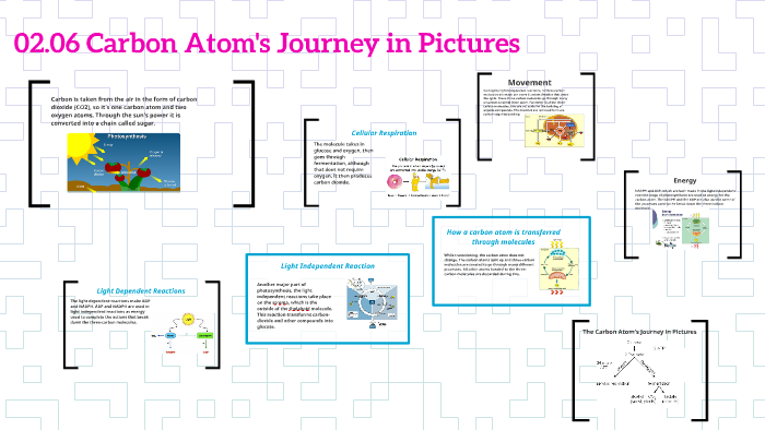 02.06 Carbon Atom's Journey in Pictures by Alanalyn Pigott on Prezi