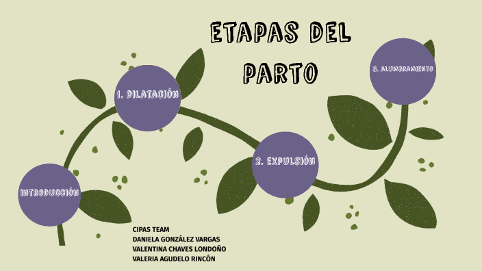 ETAPAS DEL PARTO by valentina chaves londoño on Prezi