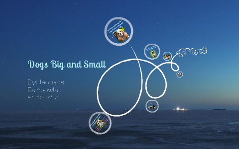 Dogs Big and Small by Erica Flory on Prezi