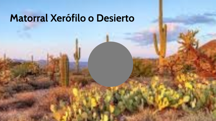 Matorral Xerófilo o Desierto by Yaret Cuachitl Matorral Xerófilo o Desierto by Yaret Cuachitl