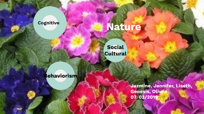 City of Primrose by Genesis Anguiano on Prezi