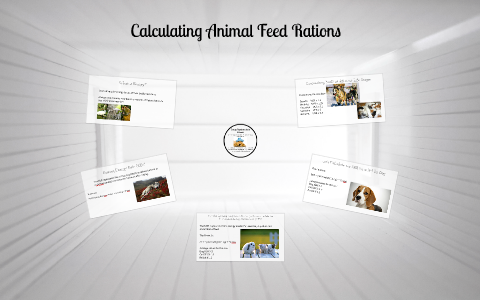 Calculating Animal Feed Rations by Lindsay Fletcher on Prezi