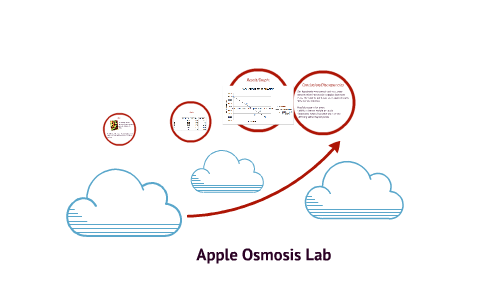 Apple Osmosis Lab by Erica C on Prezi