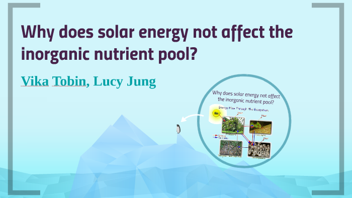 Why does solar energy not affect the inorganic nutrient pool by Lucy ...