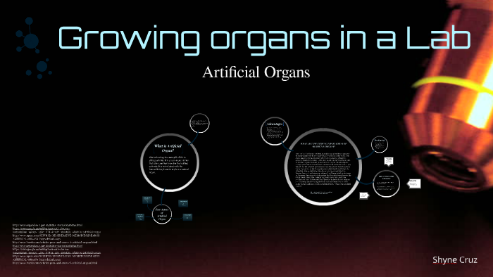 Growing organs in Lab by Shyne Cruz on Prezi