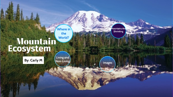 Mountain Ecosystem by Carly M on Prezi
