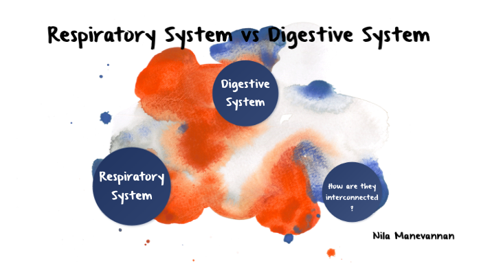 Animal Anatomy Flow Chart by Nila Manevannan on Prezi
