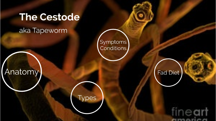The Cestode by Awy Cruz on Prezi