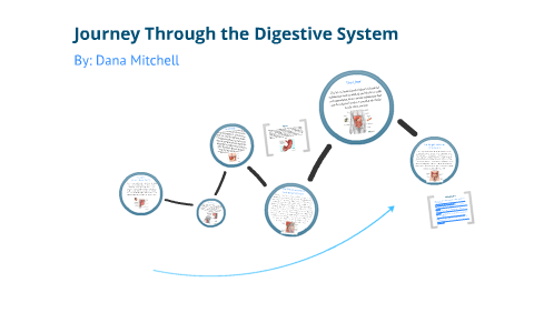 Journey Through the Digestive System by Dana Mitchell on Prezi