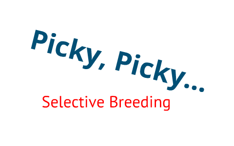 Picky, Picky by David R on Prezi
