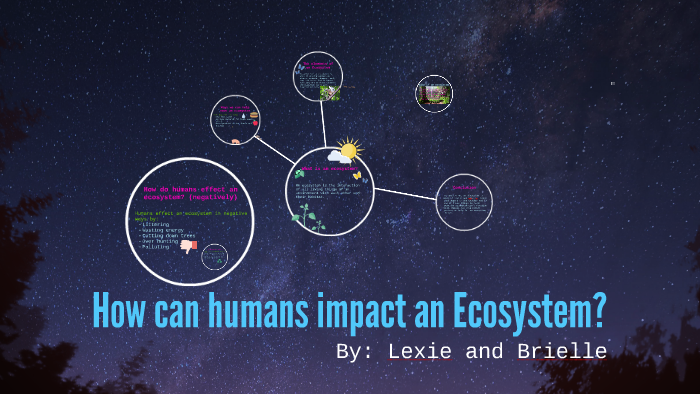 How can humans impact an Ecosystem? by Brielle P on Prezi