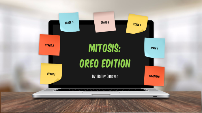 Mitosis Oreo Lab by Hailey Donovan on Prezi