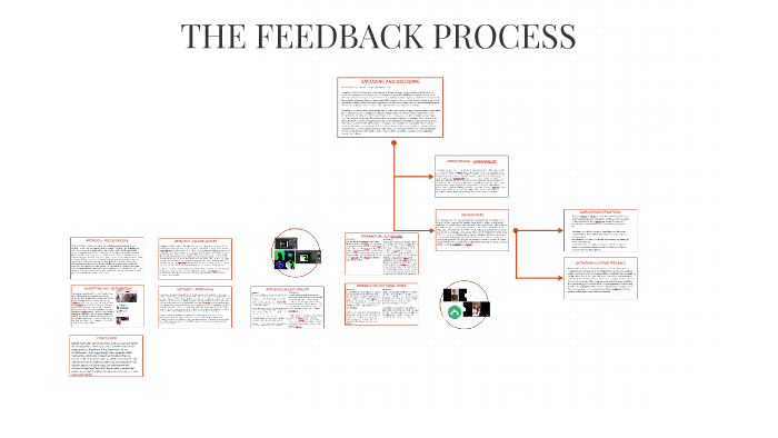 THE FEEDBACK PROCESS by ollie davis