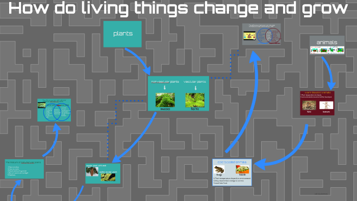 How do living things change and grow by Hans Li on Prezi