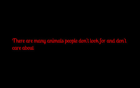 the animals nobody knows about by anslie anderson on Prezi