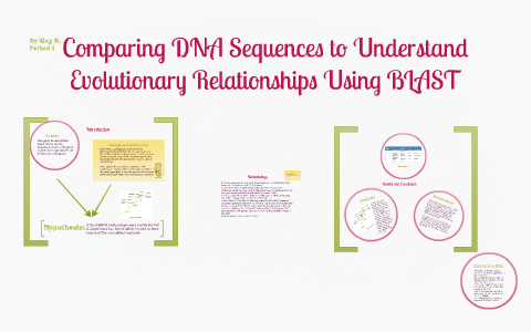 Comparing DNA Sequences to Understand Evolutionary Relationships Using ...