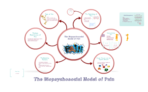 Biopsychosocial Model of Pain in Learning Disabilities by Nicole Stokoe ...