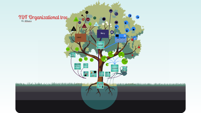 IDF structure by David Davis on Prezi