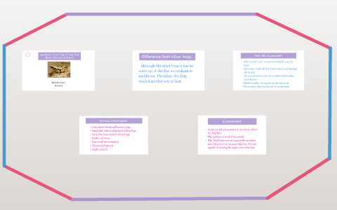 Gardiner's Tree Frog by Julia Costa on Prezi