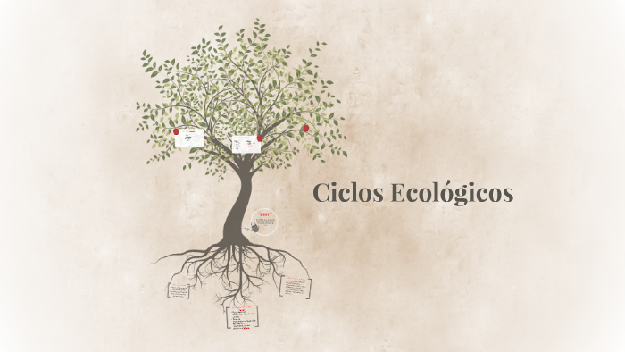Ciclos Ecológicos by david sierra on Prezi