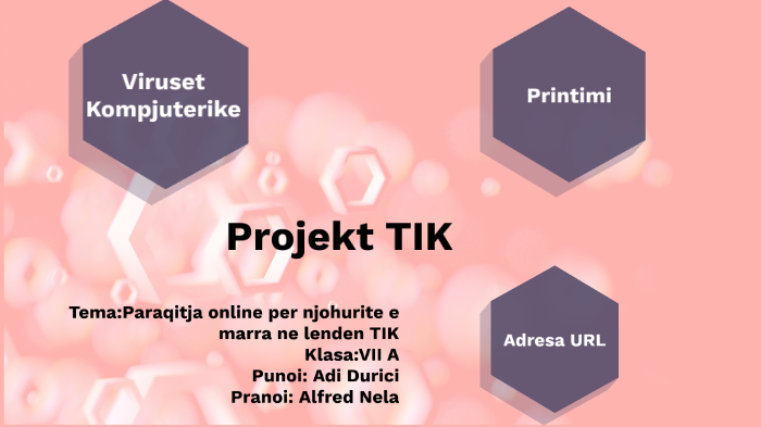 Projekt Tik by Adi Durici on Prezi