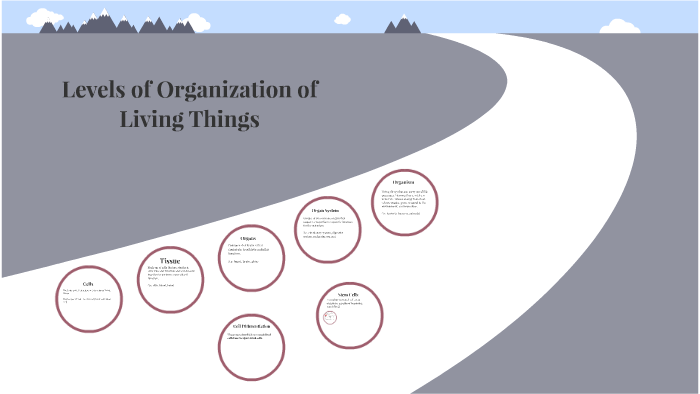 Levels of Organization by Austin Tang on Prezi
